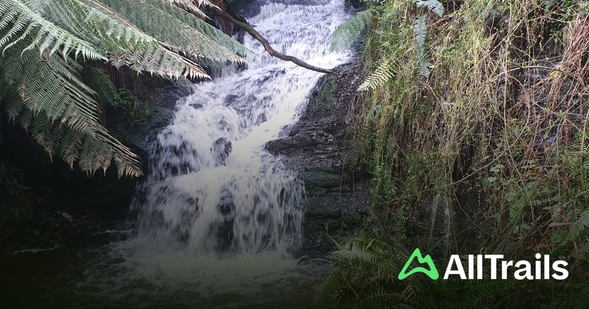 Homesite : les meilleures randonnées | AllTrails