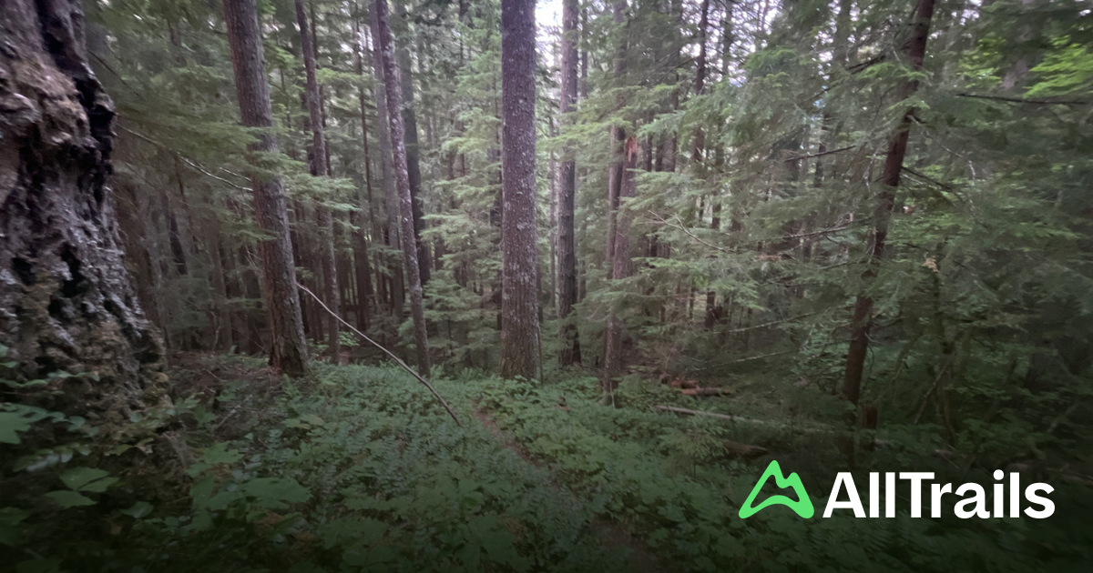 Mount Wow - hikes and trails to get you there | AllTrails