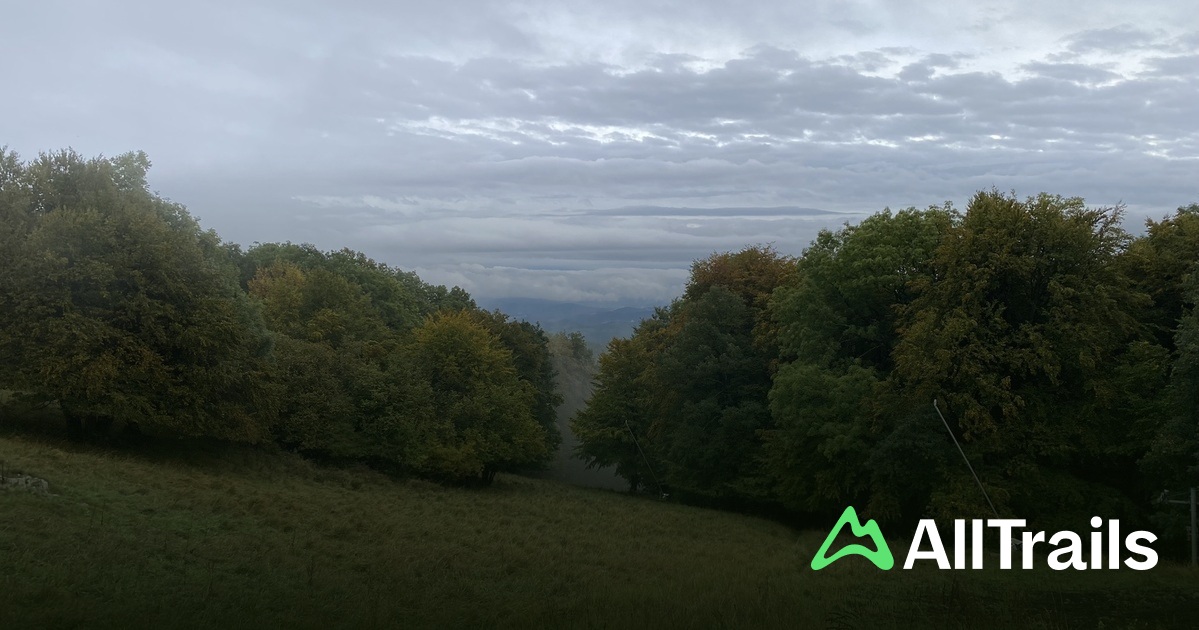 Vas-kút - hikes and trails to get you there | AllTrails