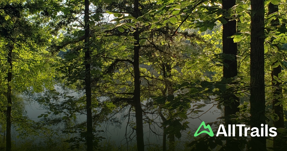 Pat Mayse Lake - hikes and trails to get you there | AllTrails