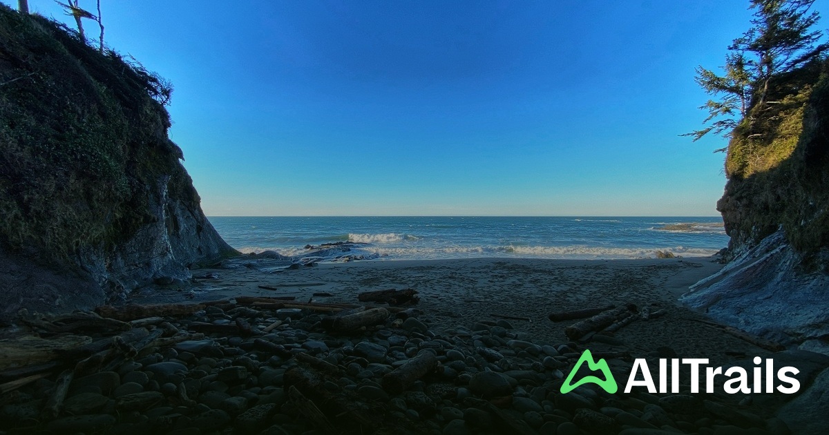 Lighthouse Beach : les meilleures randonnées | AllTrails