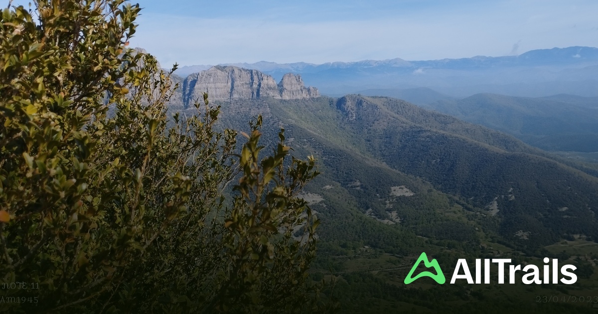 Puig d'Eugassa - hikes and trails to get you there | AllTrails