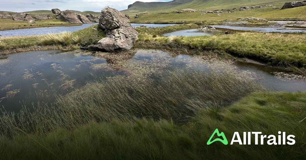 Cattle post - hikes and trails to get you there | AllTrails