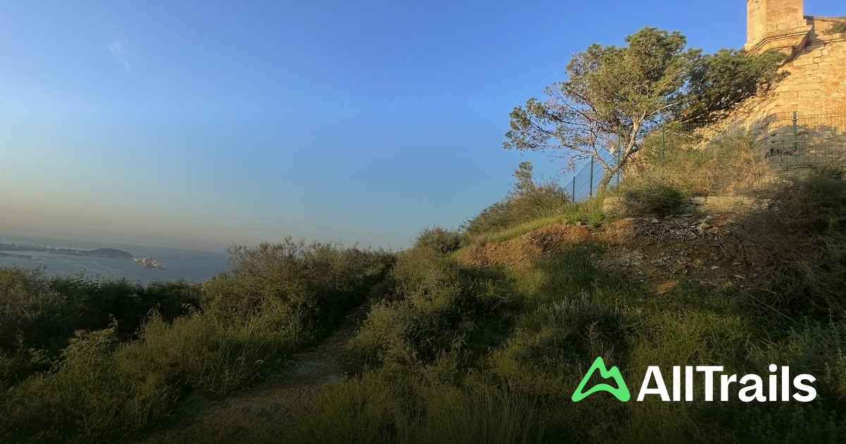 Parque Arqueológico El Molinete - hikes and trails to get you there ...