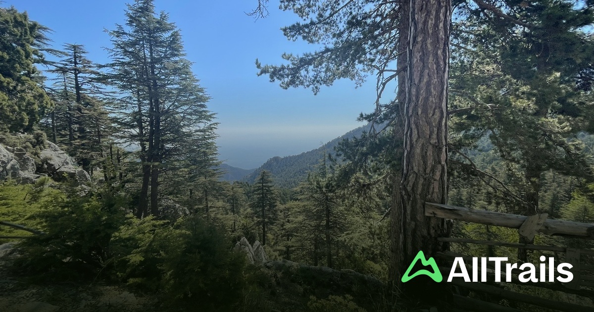 Nice spot for 3-4 tents with water - hikes and trails to get you there ...