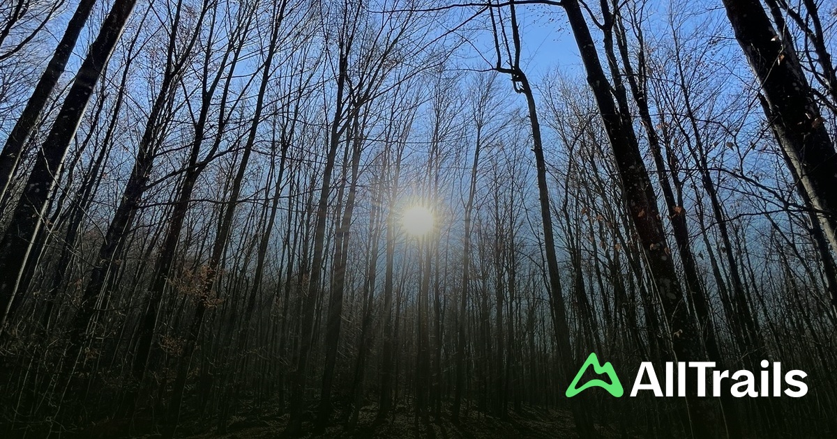 Mali Trtor - hikes and trails to get you there | AllTrails