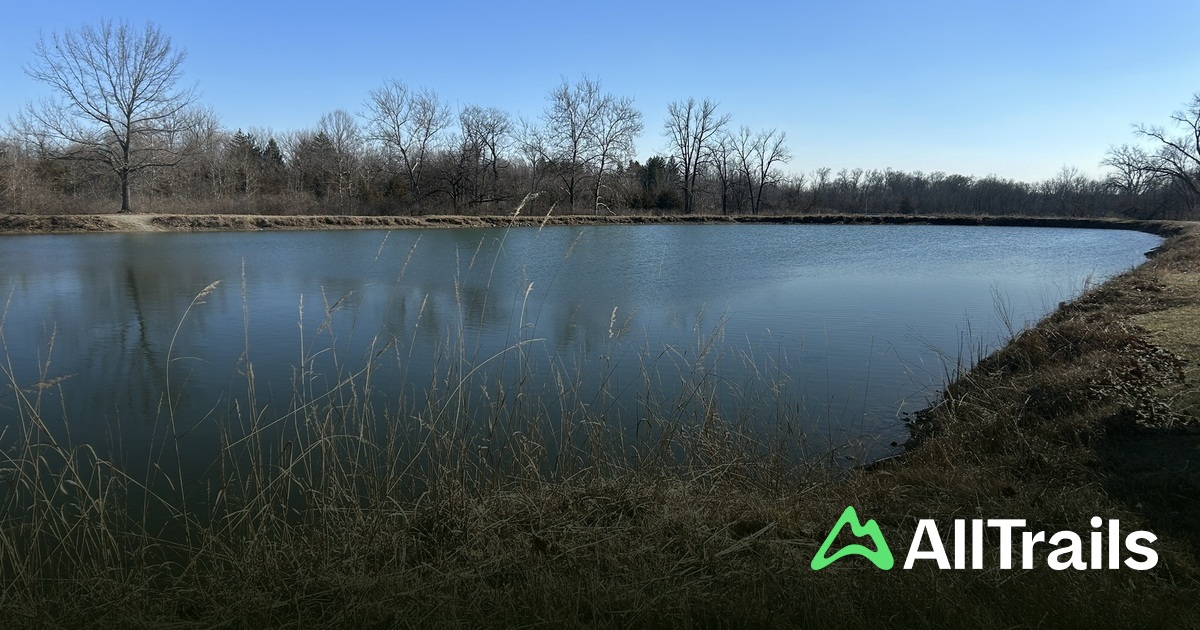 Wildlife Pond - hikes and trails to get you there | AllTrails