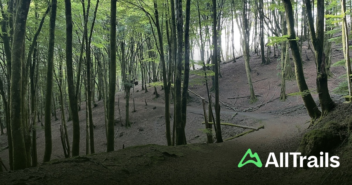 Añarbe - hikes and trails to get you there | AllTrails