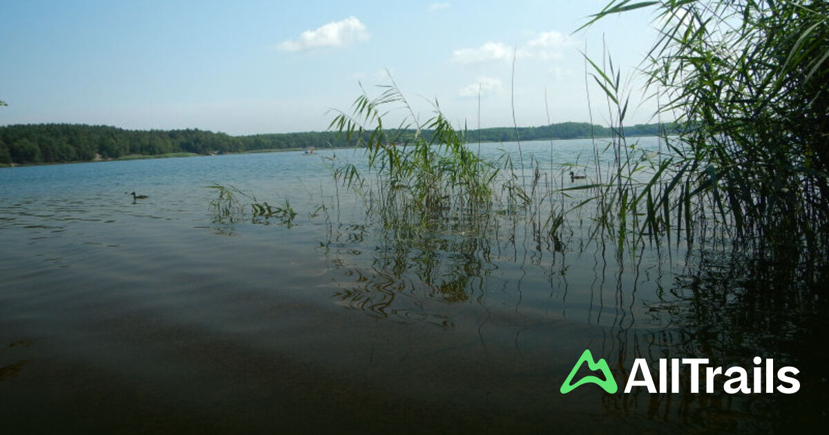 Aussichtsturm Südsee - hikes and trails to get you there | AllTrails