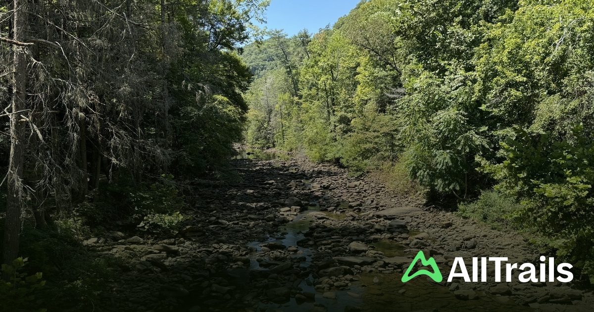 Piney River Campsite - hikes and trails to get you there | AllTrails