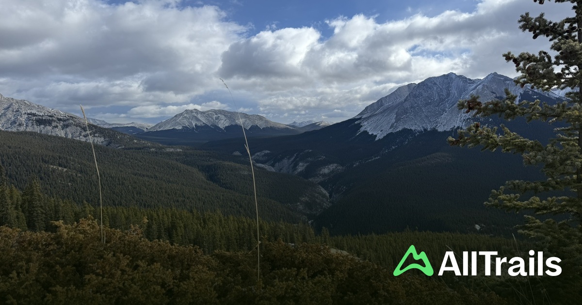 Cline Fire Lookout - hikes and trails to get you there | AllTrails