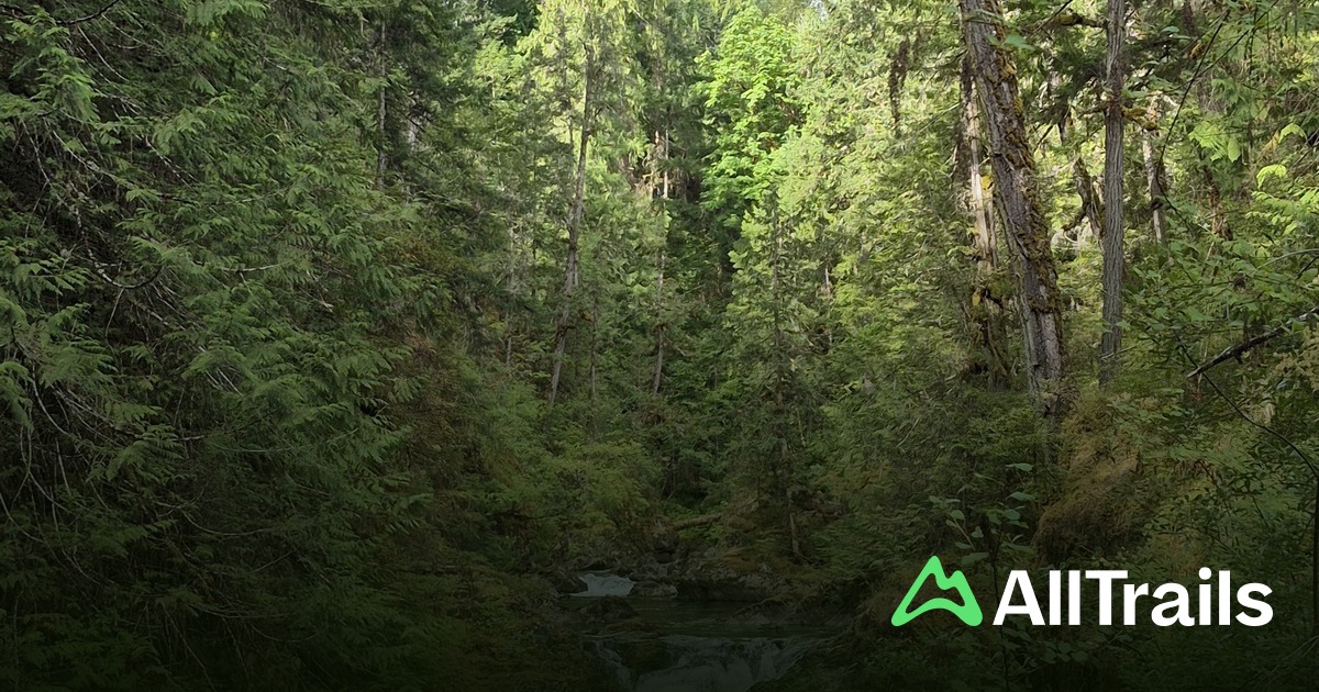 Little Qualicum Falls - hikes and trails to get you there | AllTrails