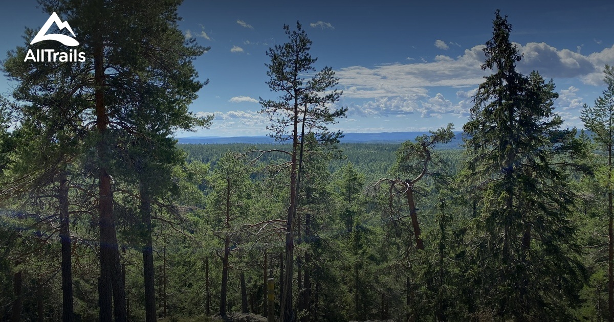 Best trails near Sagberg | AllTrails