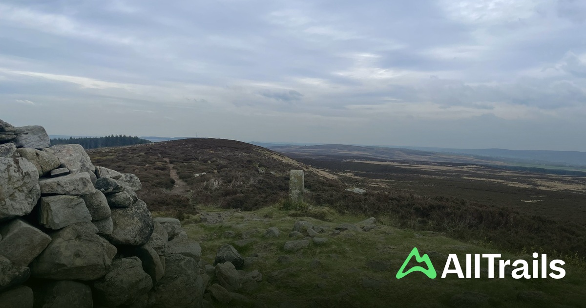 Round Hill - hikes and trails to get you there | AllTrails