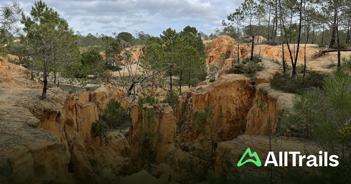 Melhores trilhos perto de Pequeno Canyon | AllTrails