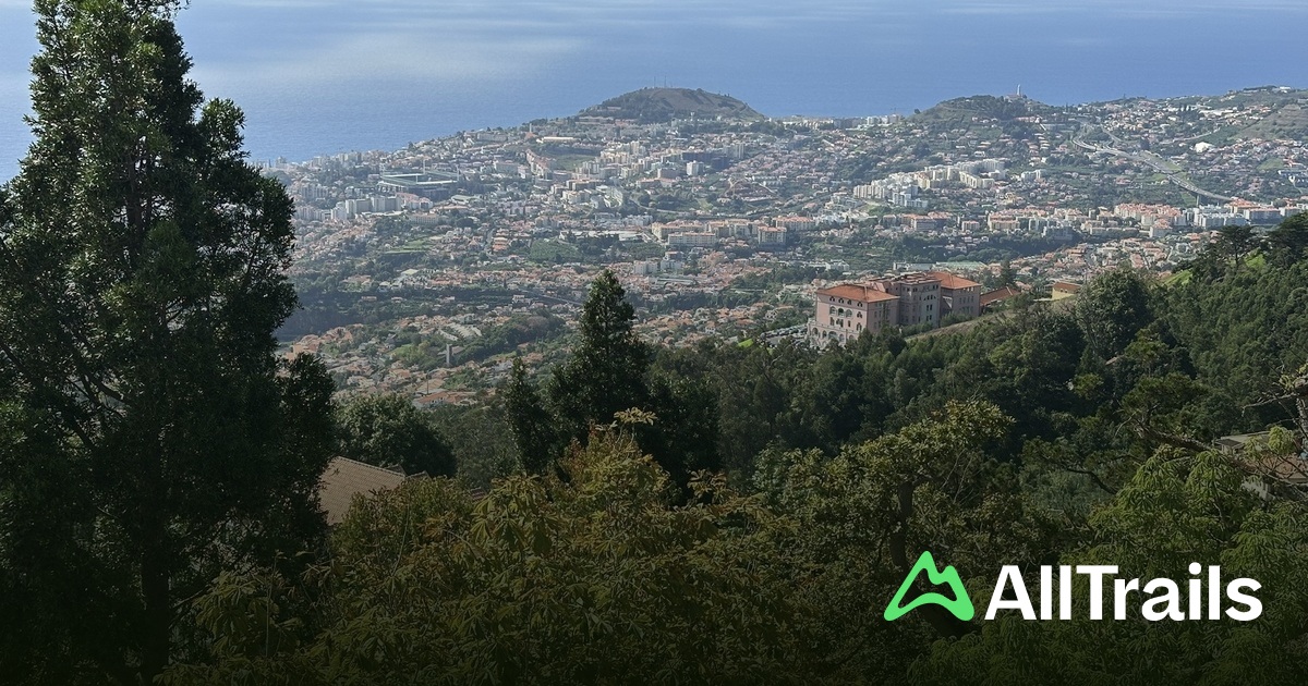 Cacti - hikes and trails to get you there | AllTrails