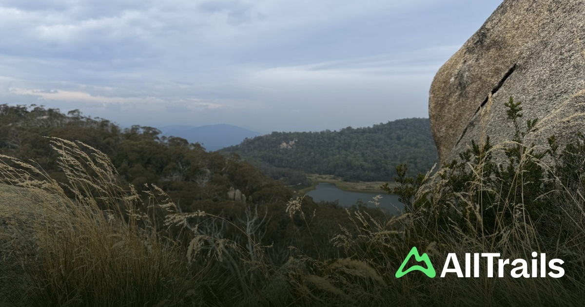 Los mejores senderos cerca de Lady Carmichael Falls | AllTrails