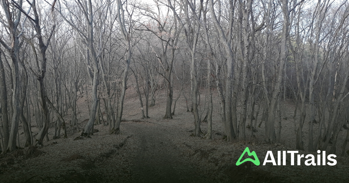 Dealu Crucei - hikes and trails to get you there | AllTrails