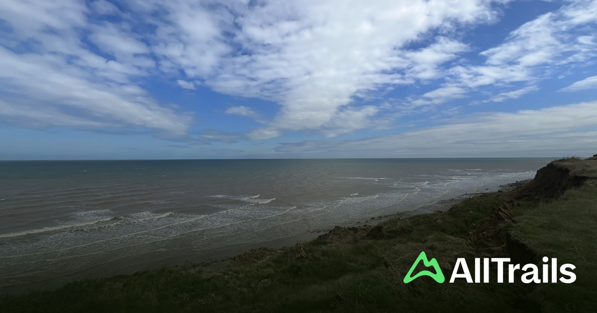 Cowden Sands - hikes and trails to get you there | AllTrails