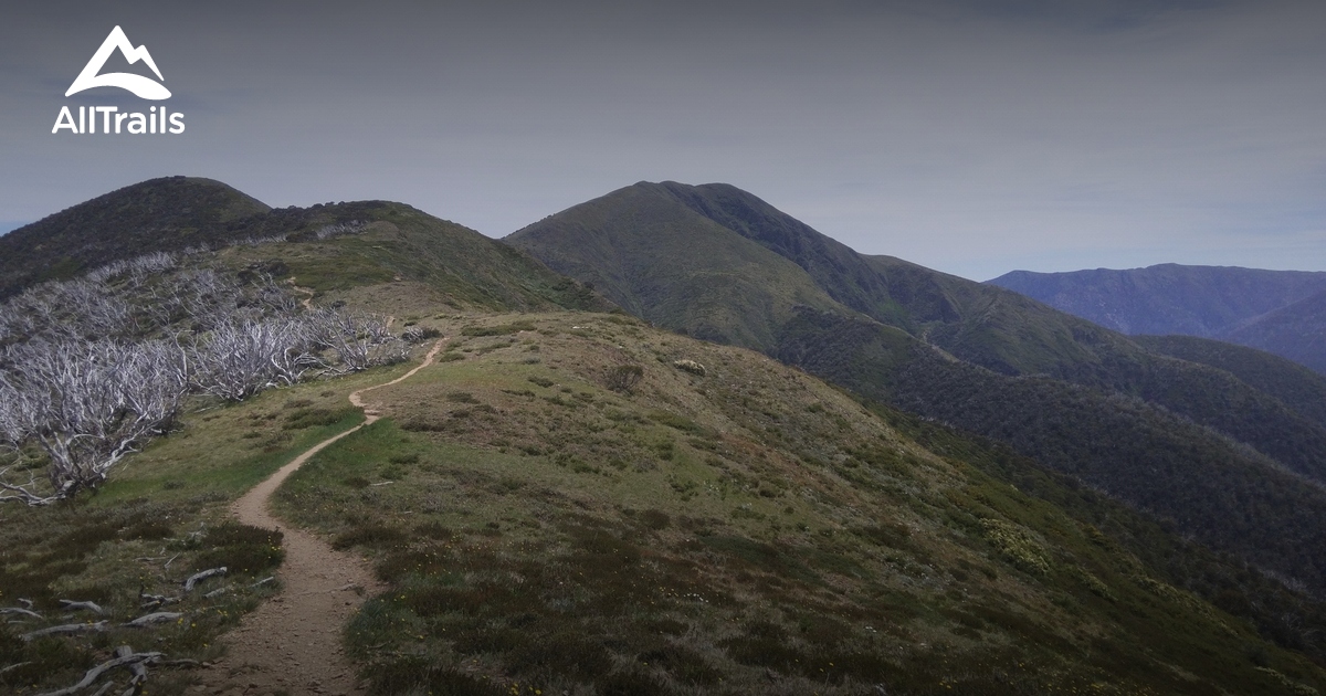 Mount Feathertop - hikes and trails to get you there | AllTrails