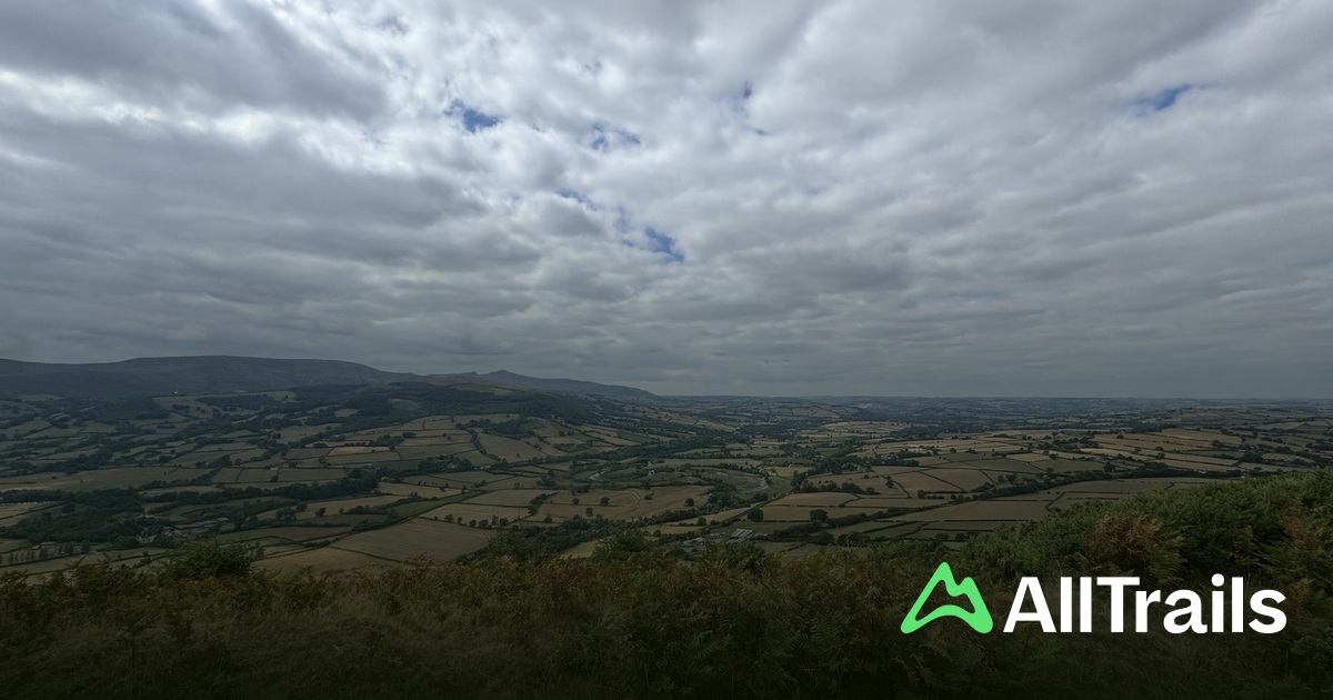 Allt yr Esgair Hillfort - hikes and trails to get you there | AllTrails