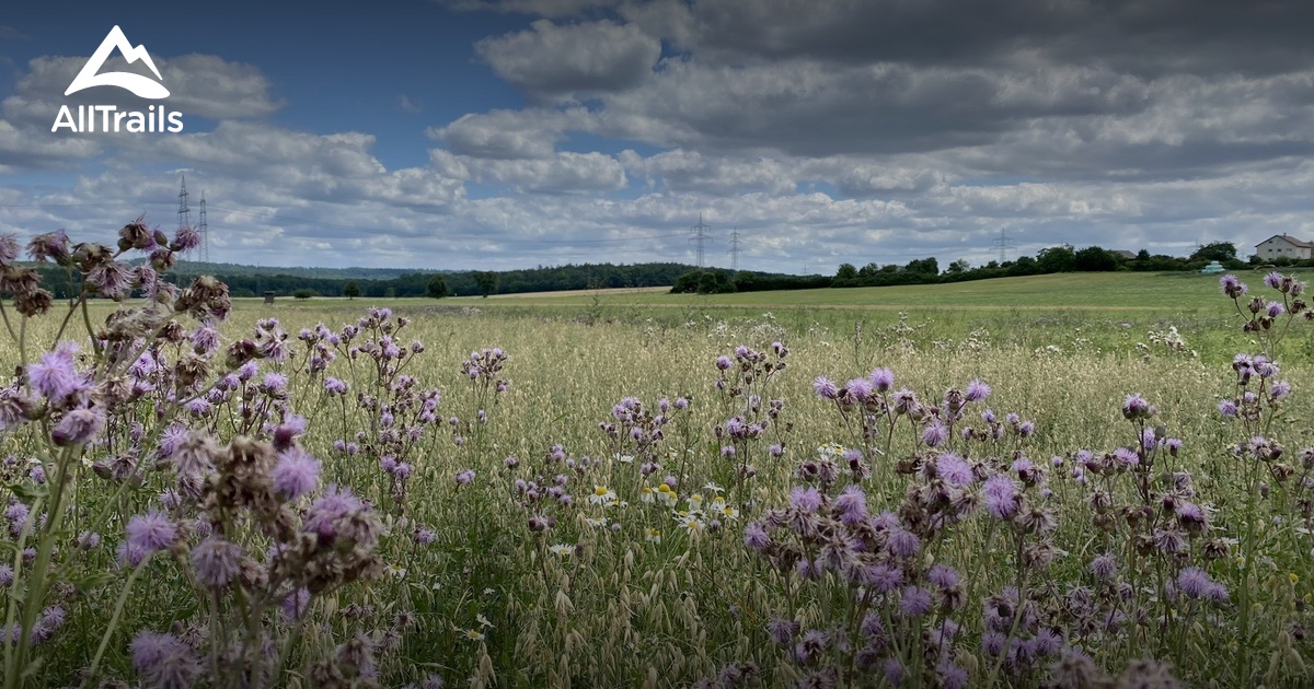Best trails near Neulinger Berg | AllTrails