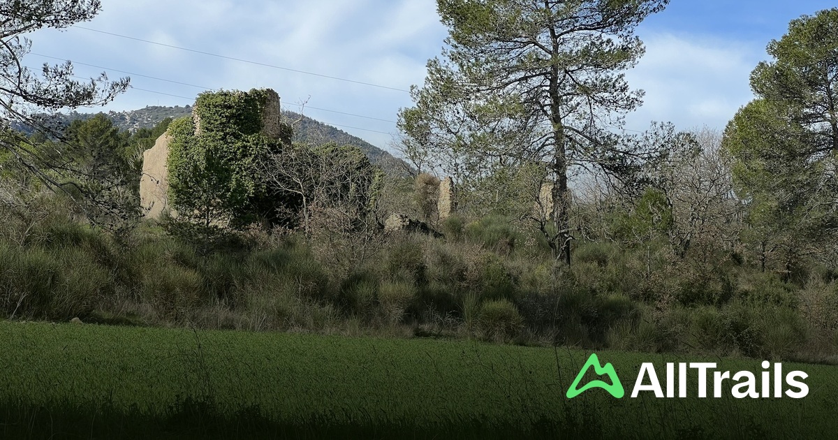Ruines du hameau du Thubet : les meilleures randonnées | AllTrails