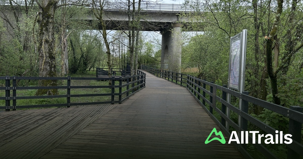 Nore - hikes and trails to get you there | AllTrails