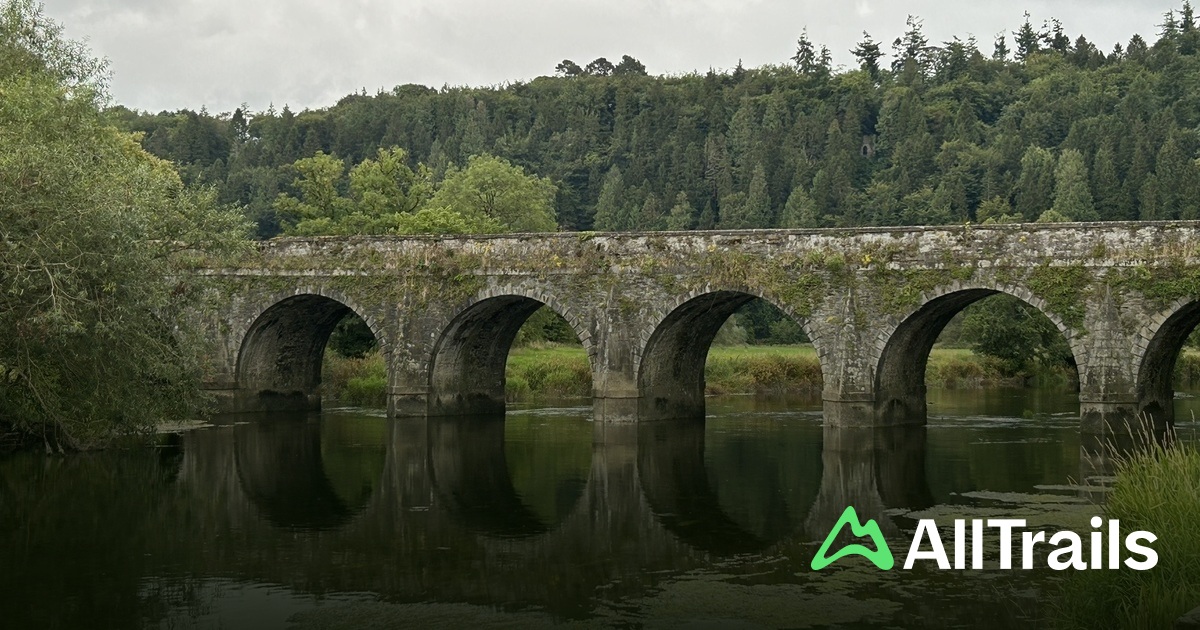 Nore: Die besten Routen in der Umgebung | AllTrails