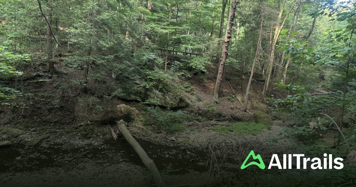 The Bat Cave - hikes and trails to get you there | AllTrails