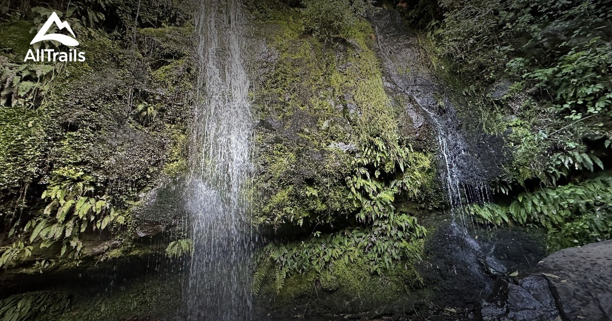 Newtons Waterfall - hikes and trails to get you there | AllTrails