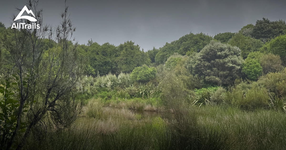 Middle Mount Peel - hikes and trails to get you there | AllTrails