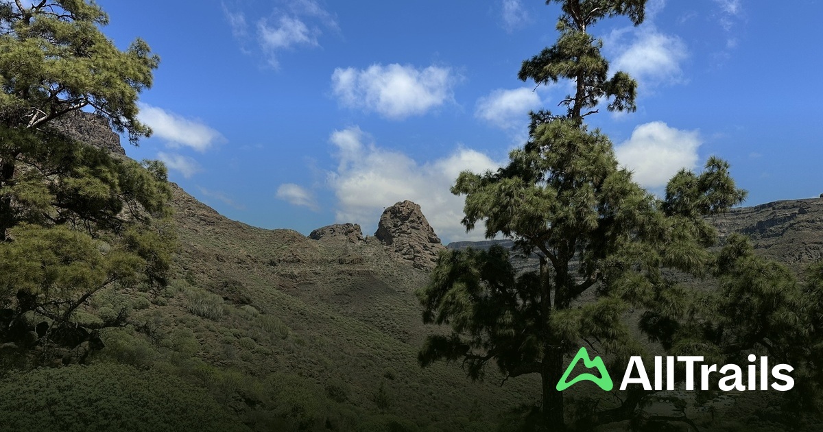 El Pilón - hikes and trails to get you there | AllTrails