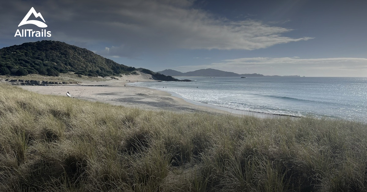 Bream Head - hikes and trails to get you there | AllTrails