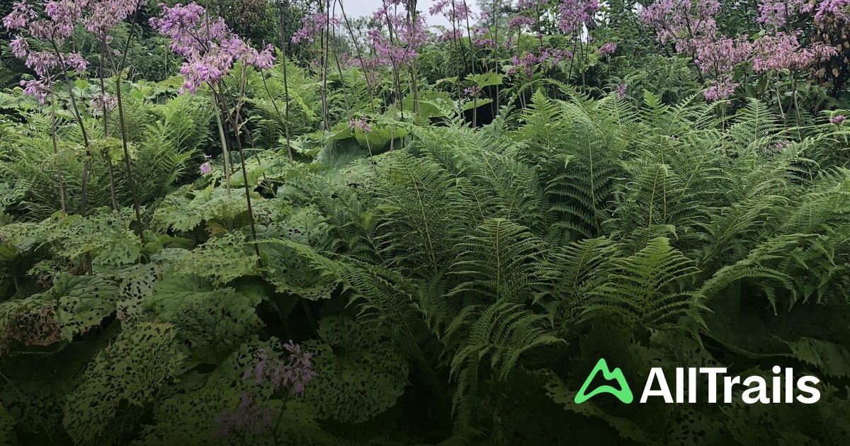 Naturfreundehaus Neubau : les meilleures randonnées | AllTrails