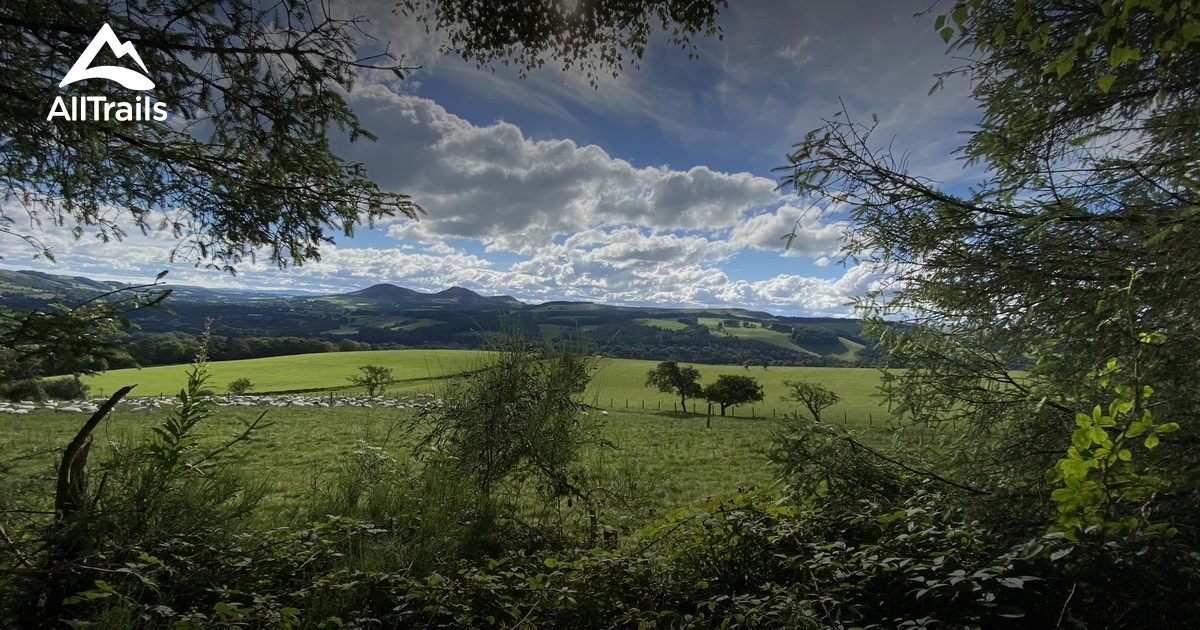 Gala Hill - hikes and trails to get you there | AllTrails