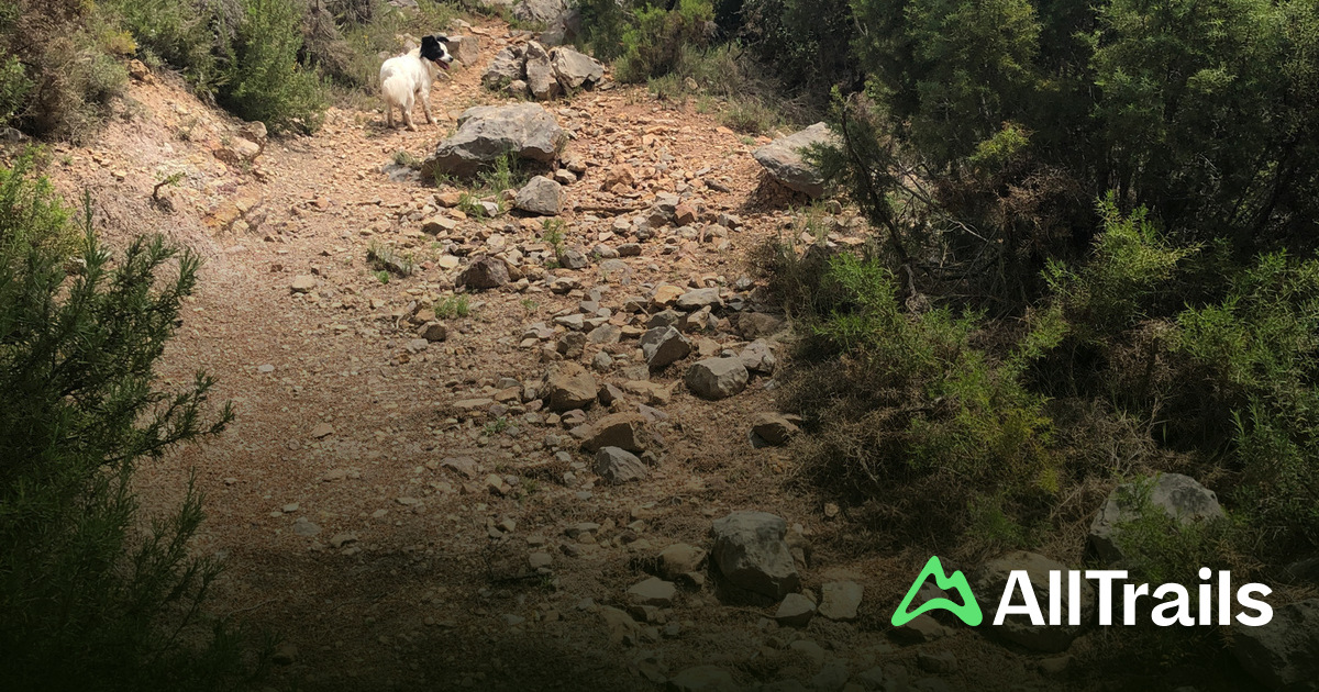 Refugio del Tis : les meilleures randonnées | AllTrails