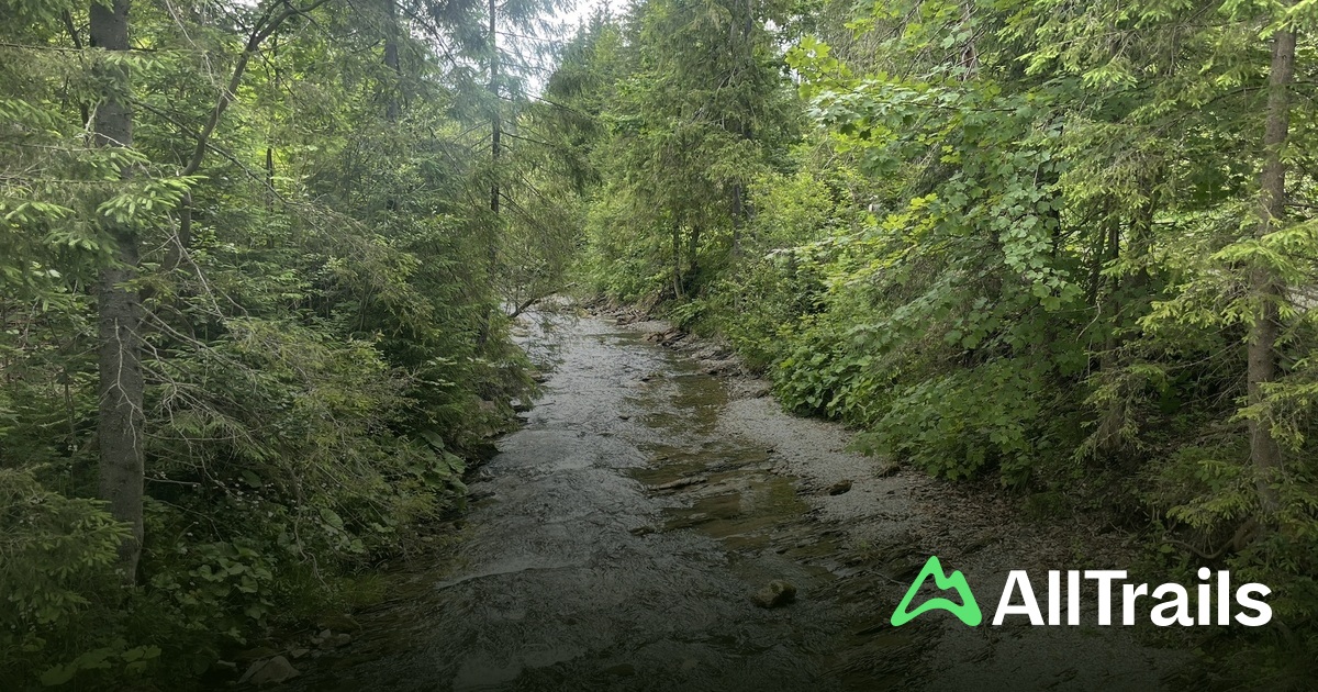 Podtatranská brázda - hikes and trails to get you there | AllTrails