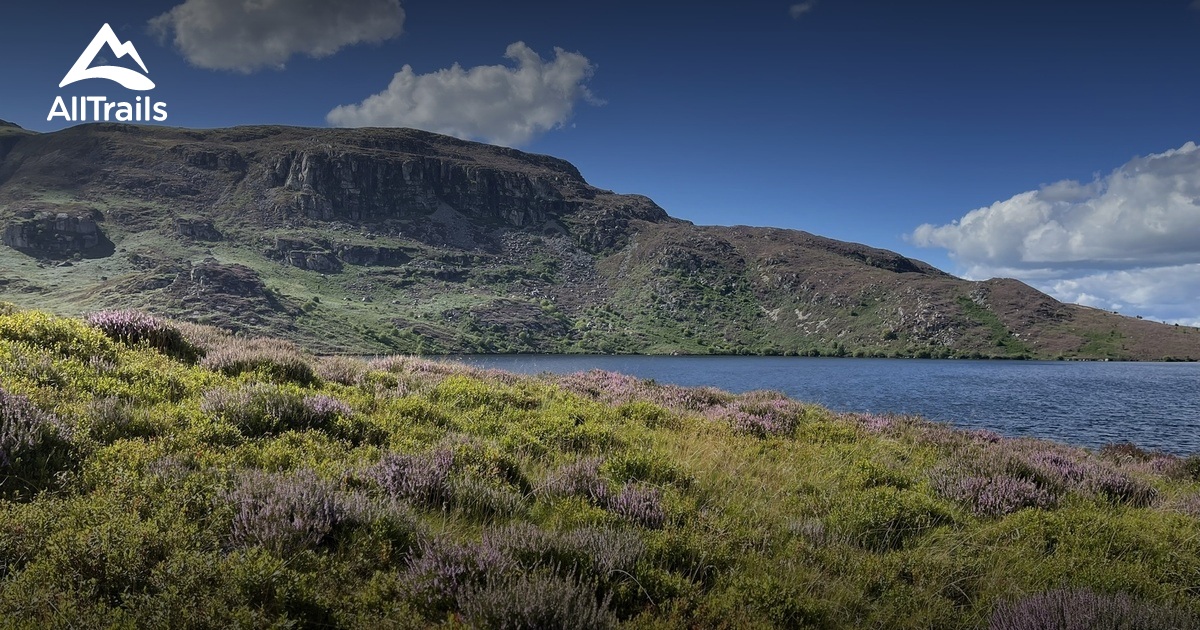Die besten Routen in der Nähe von Moel y Garth | AllTrails