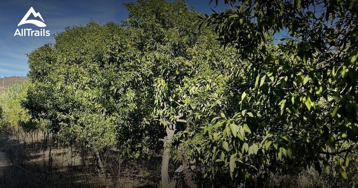 Pego do Inferno: Die besten Routen in der Umgebung | AllTrails