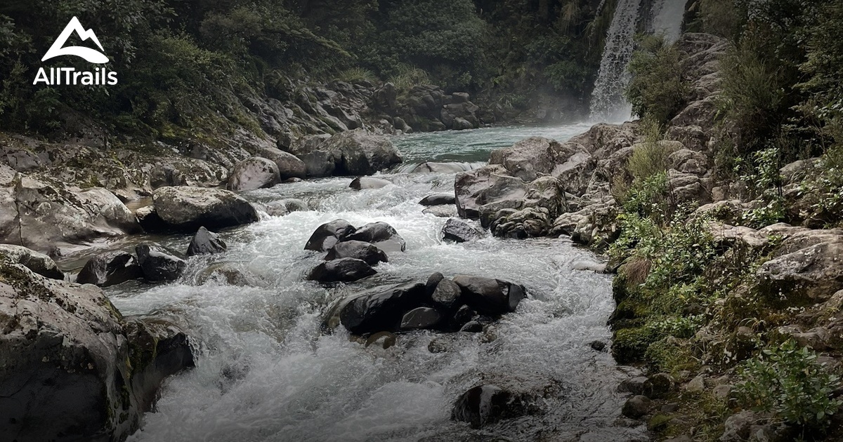 Best trails near Tawhai Falls | AllTrails
