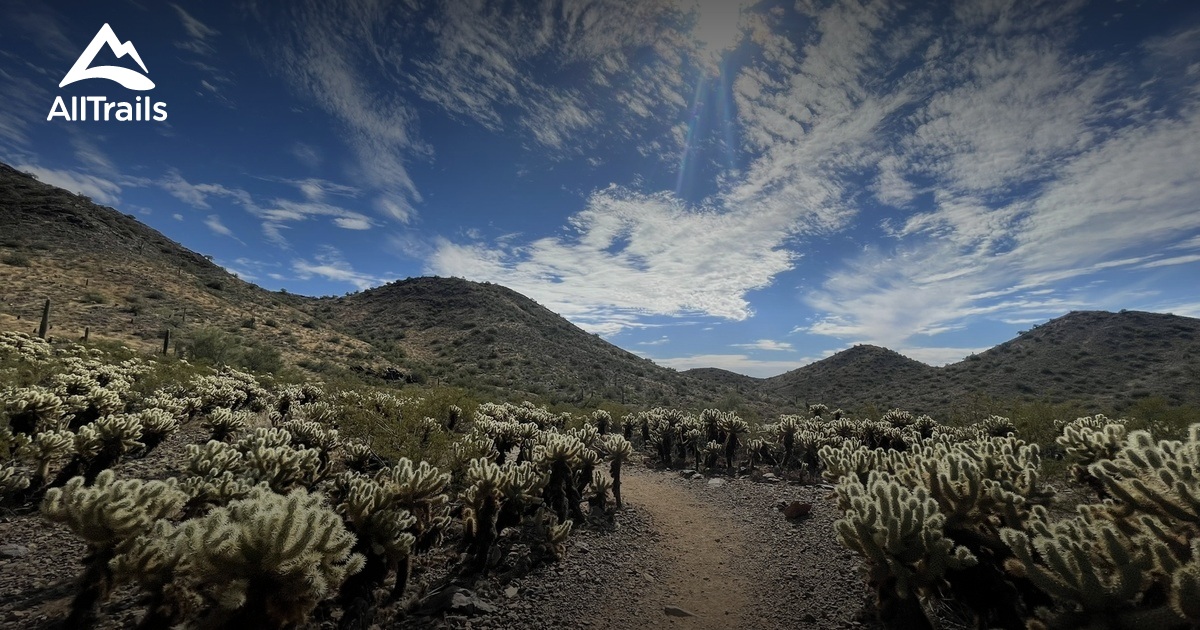 Dixie Mountain - hikes and trails to get you there | AllTrails