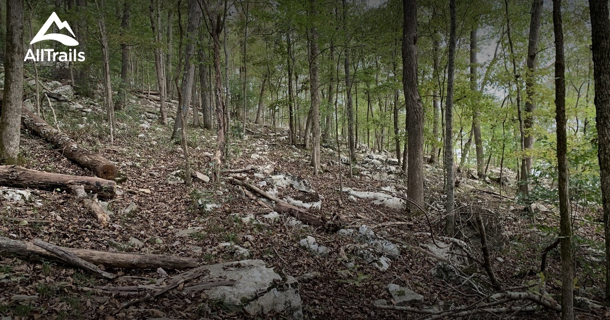 Taylor Mountain - hikes and trails to get you there | AllTrails