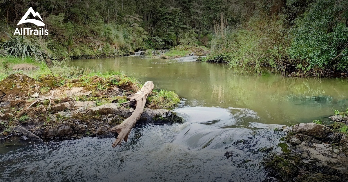 Taheke Waterfall - hikes and trails to get you there | AllTrails