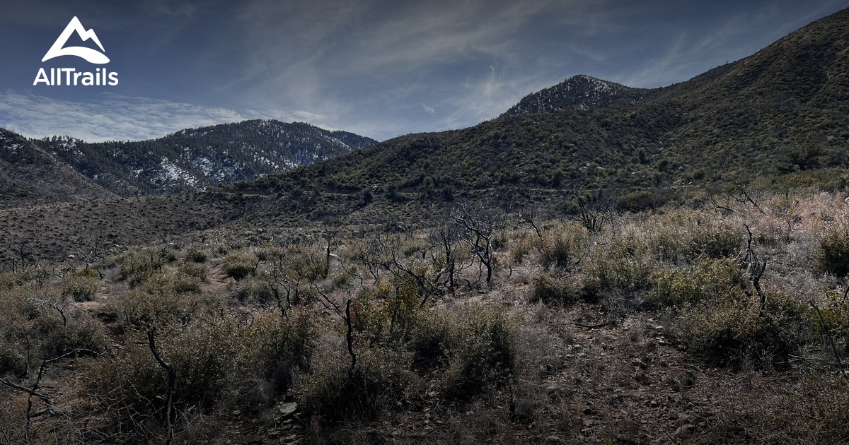 Pinal Mountains - hikes and trails to get you there | AllTrails