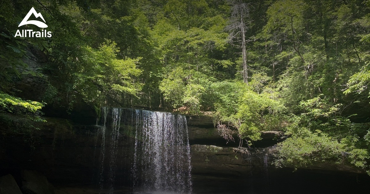 Caney Creek Falls - hikes and trails to get you there | AllTrails