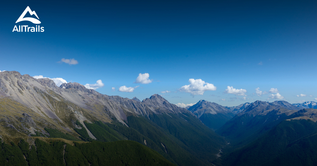 Mount Cedric: Die besten Routen in der Umgebung | AllTrails