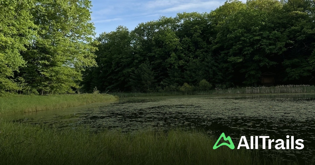 Best trails near Stone Ledge Lake | AllTrails