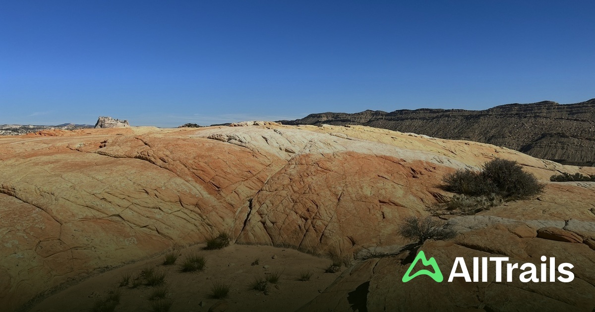 Hackberry Canyon - hikes and trails to get you there | AllTrails