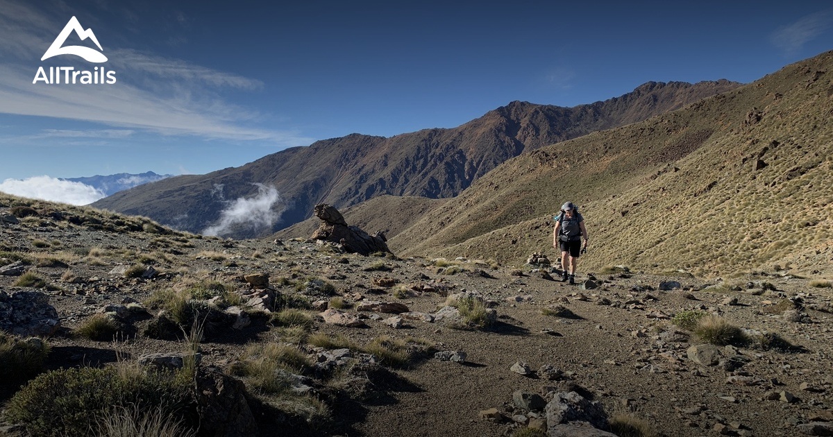 Mount Ellis - hikes and trails to get you there | AllTrails